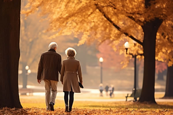 Securing Retirement Income with Purchased Life Annuities | News Blog